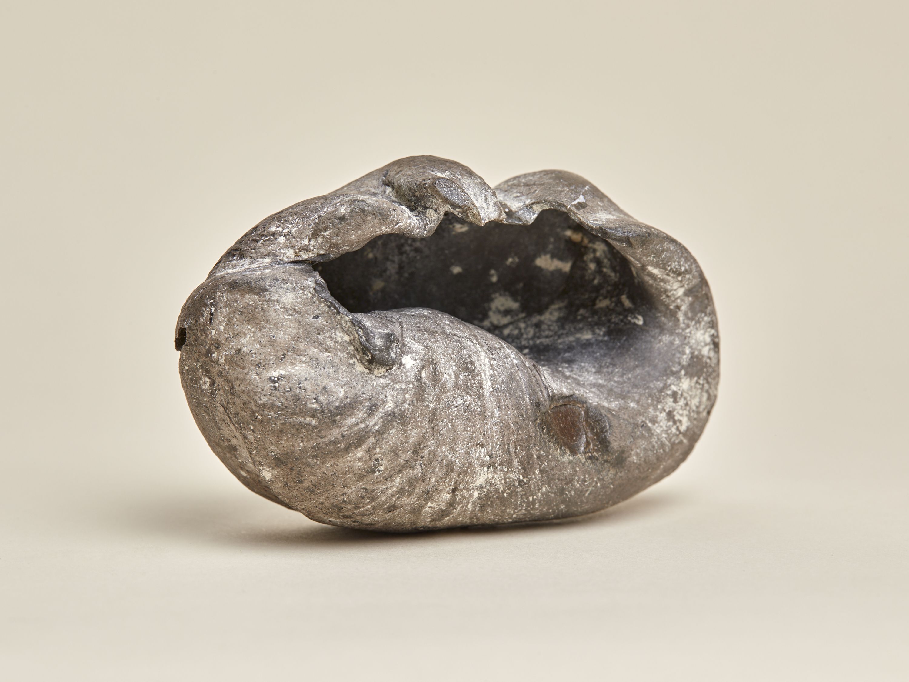 THE WHALES OF FISHING CREEK - Climate Lessons From the Pliocene